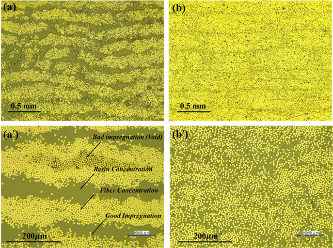 Download Cross Section Of Cf/nylon 6 Laminates (a') And Cf/epoxy - Full ...