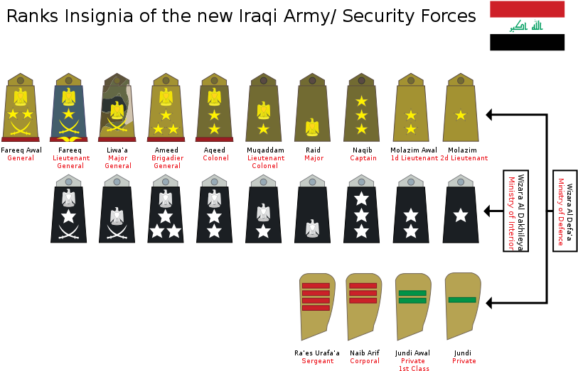 Download Military Ranks In Iraq - Full Size PNG Image - PNGkit