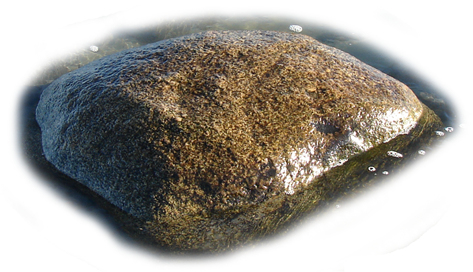 Download Here's A Few More Wet Rocks - Igneous Rock - Full Size PNG ...