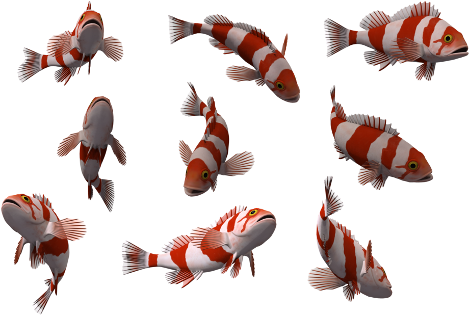 Download Fish Png - 10 Fish Png - Full Size PNG Image - PNGkit