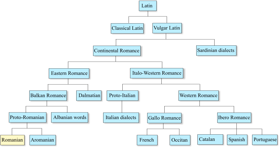 Download Romance Languages And Romanian - Romanian Language Family Tree ...