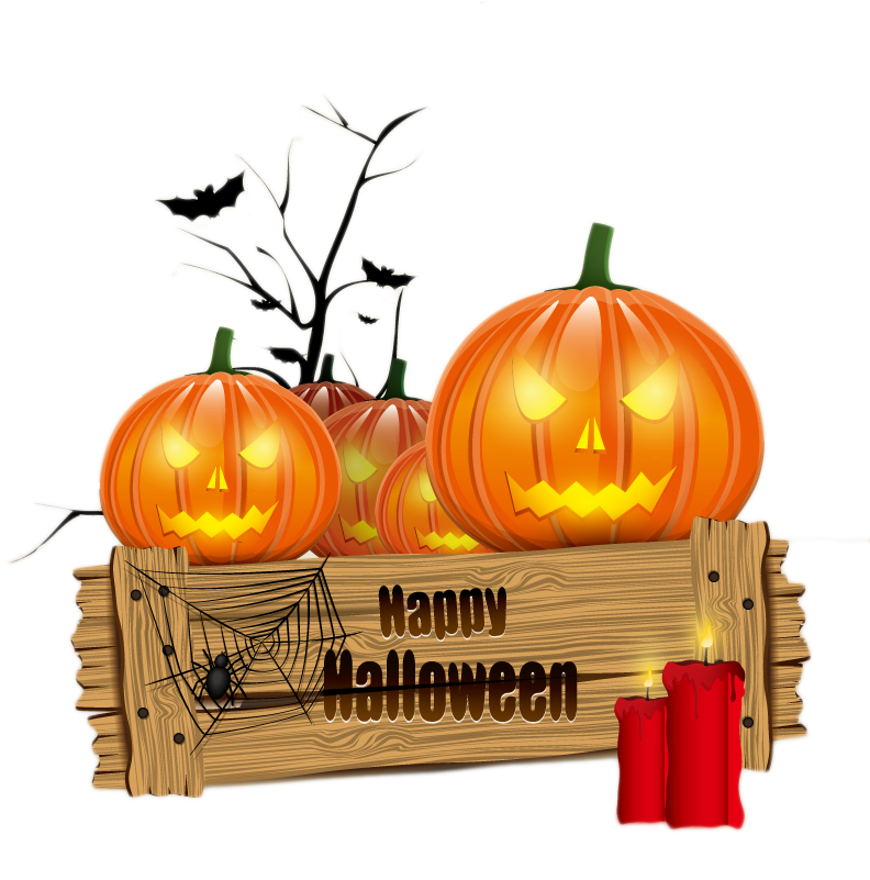 Download 52bfc63aac61a Shutterstock 162830699 - Nadula 8a Grade Best ...