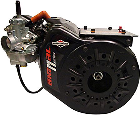 Download Briggs Racing M-series Engine - Briggs & Stratton Animal ...