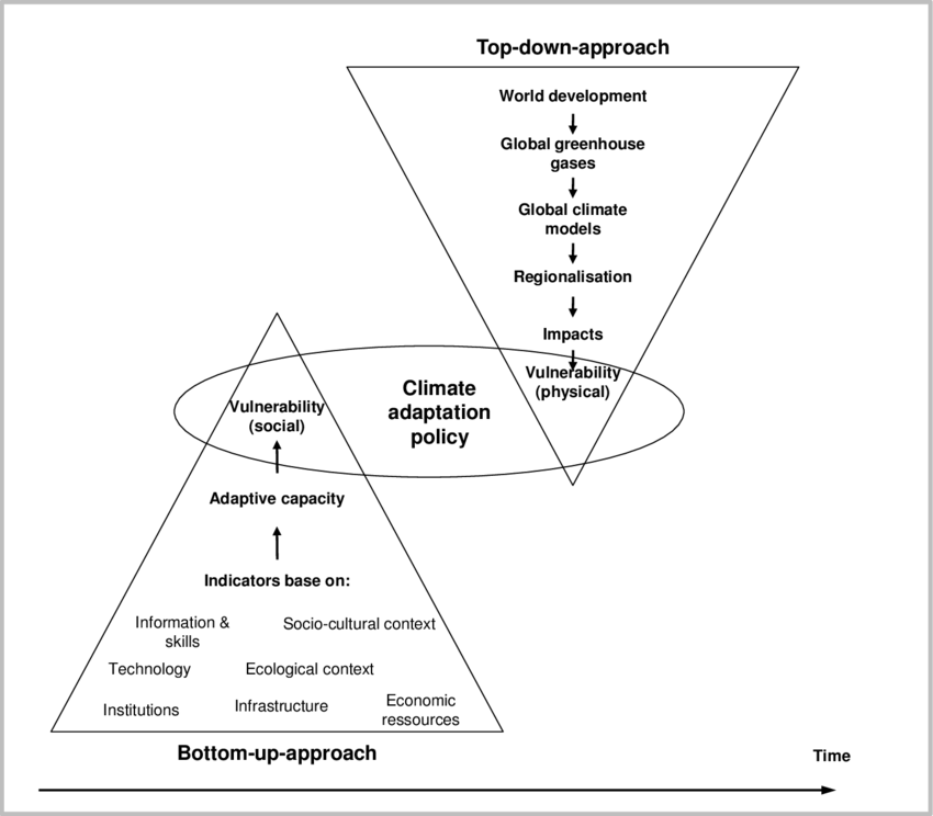 Download Top-down And Bottom Approaches Used To Inform Adaptation ...