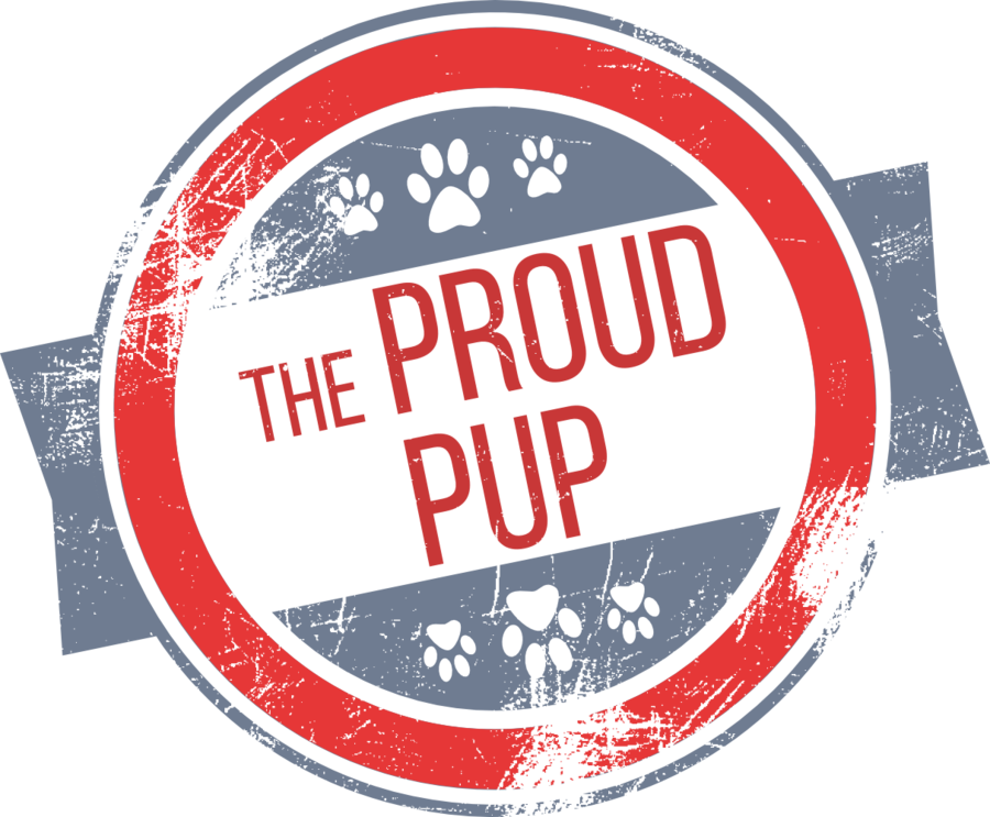 Download The Proud Pup - Dog - Full Size PNG Image - PNGkit