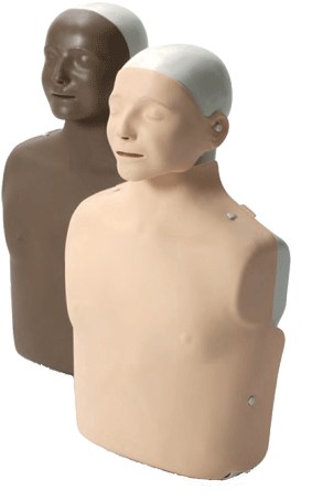 Download Laerdal - Anne Dolls For Cpr - Full Size PNG Image - PNGkit