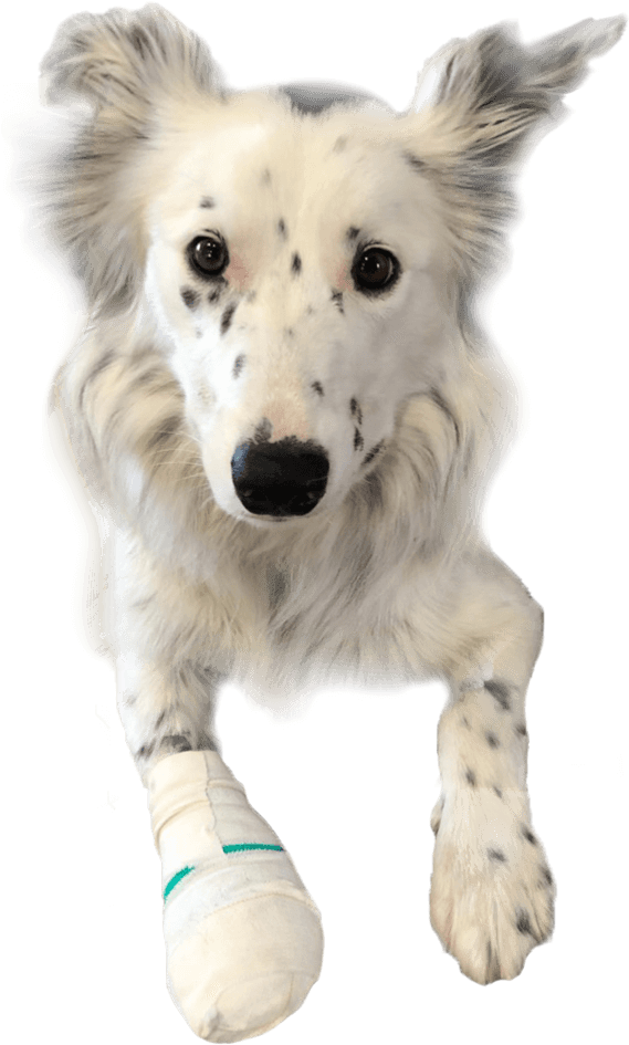 Download Contact Us - Surgery - Full Size PNG Image - PNGkit