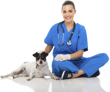 Download Woman Vet With Dog - Veterinarian Transparent Background ...