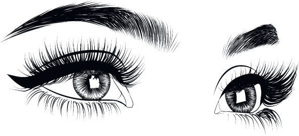 Download $1188 - Eyebrows Drawing - Full Size PNG Image - PNGkit