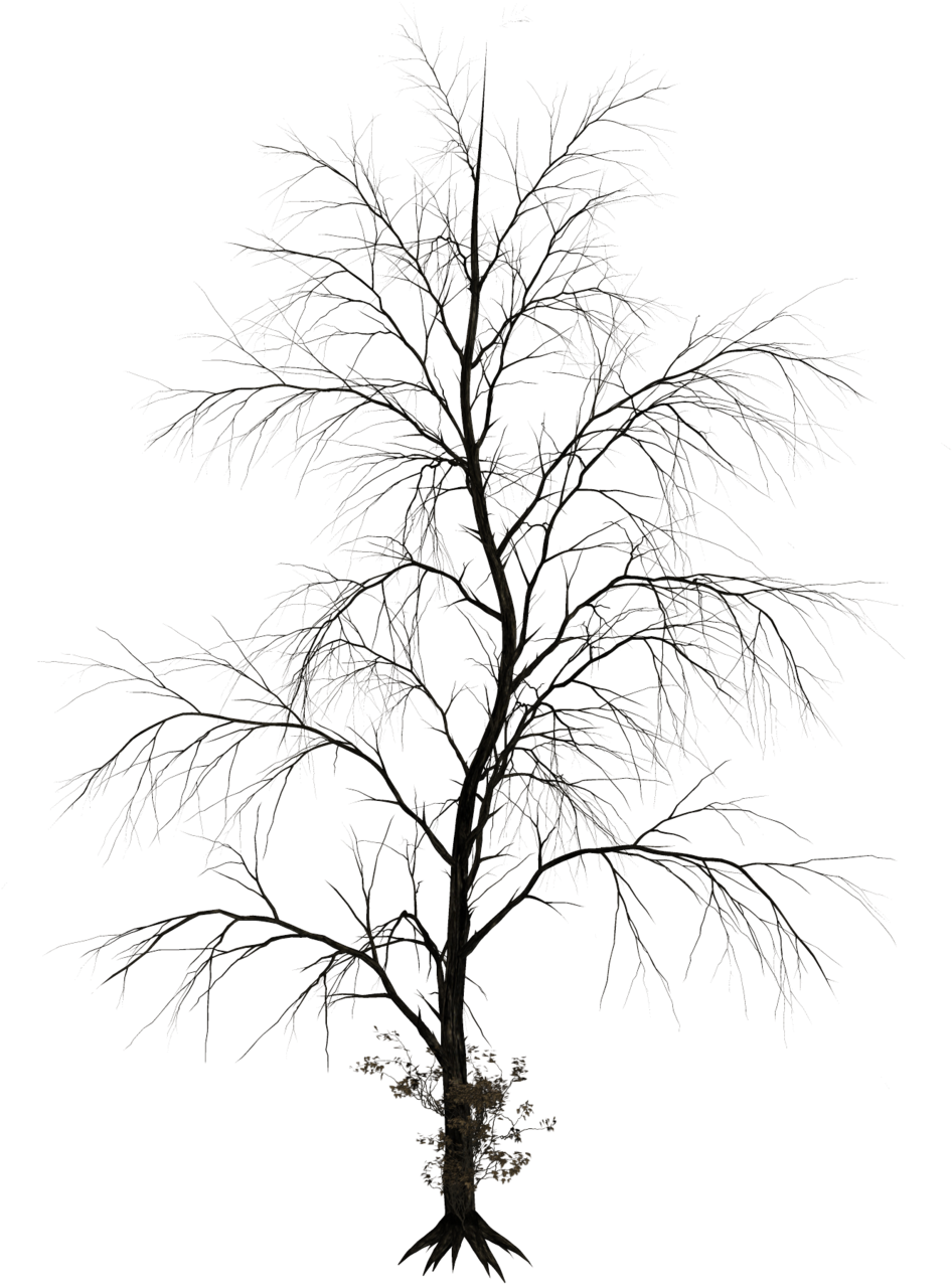 Download Haunted Tree - Png Trees Black Photoshop - Full Size PNG Image ...