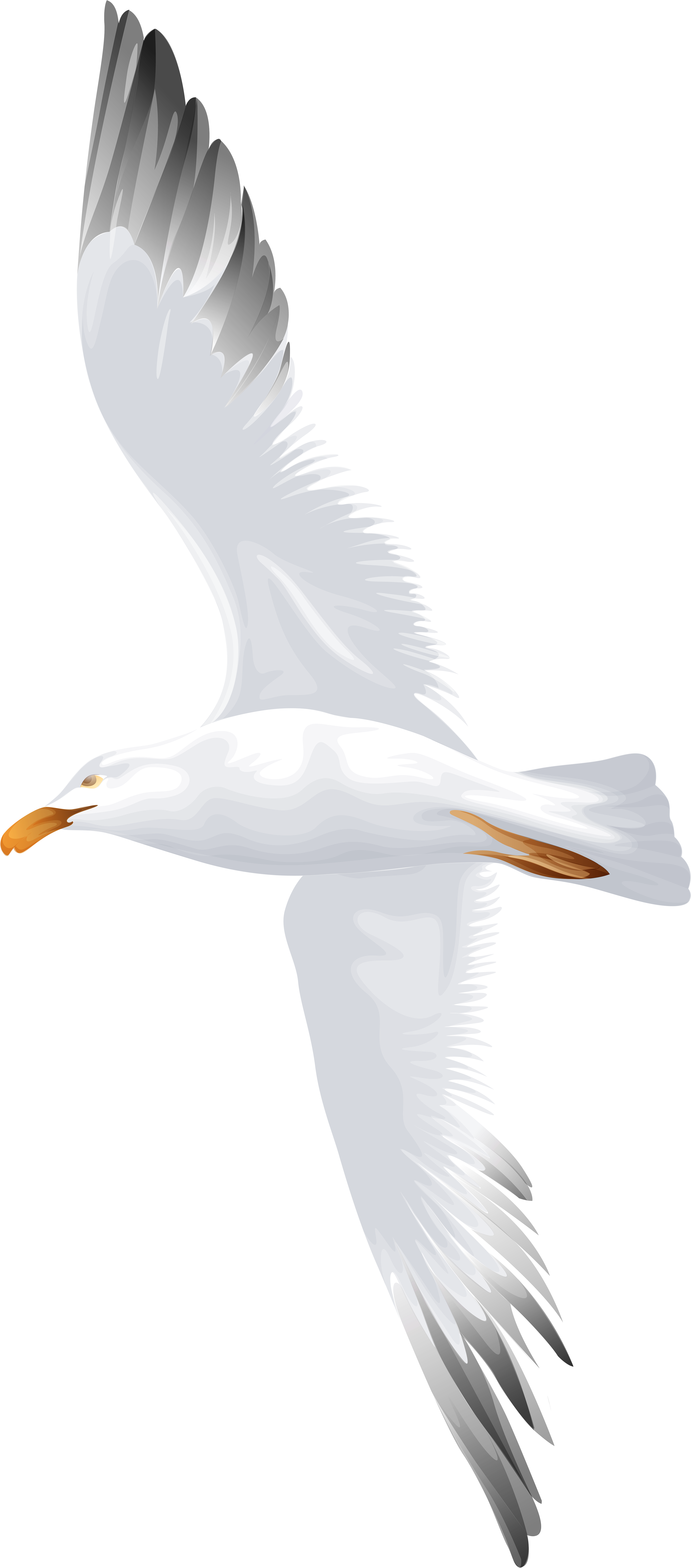 Download Clip Art - Full Size PNG Image - PNGkit