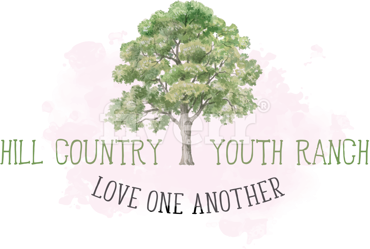 Download Illustration Showing Shape Of Quercus Ilex (holm Oak) - Full ...