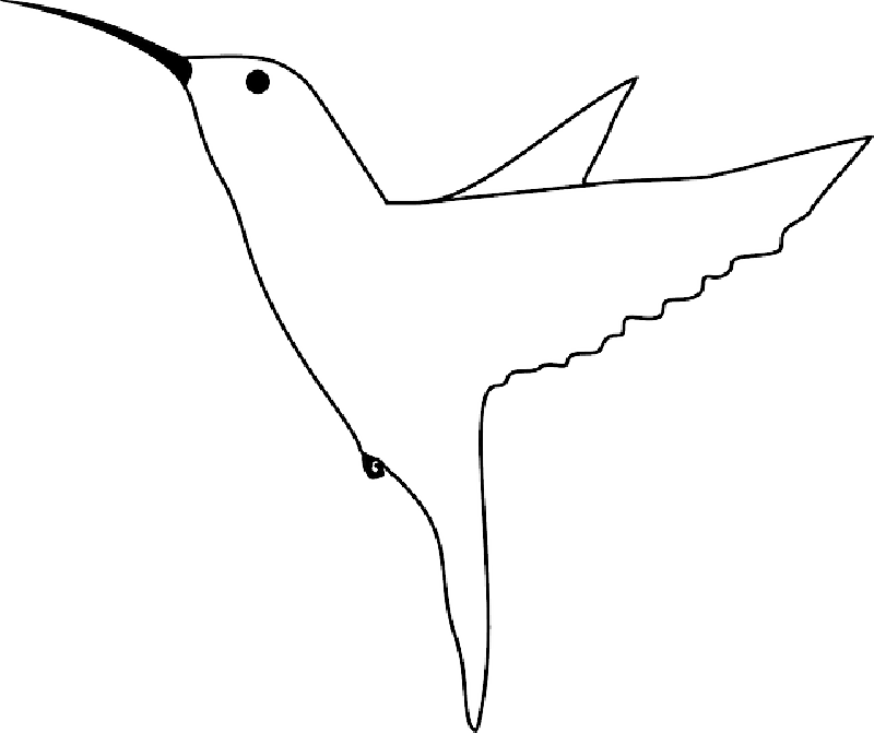 Download Small Outline Little Bird Fly Free Hummingbird - Full Size PNG ...