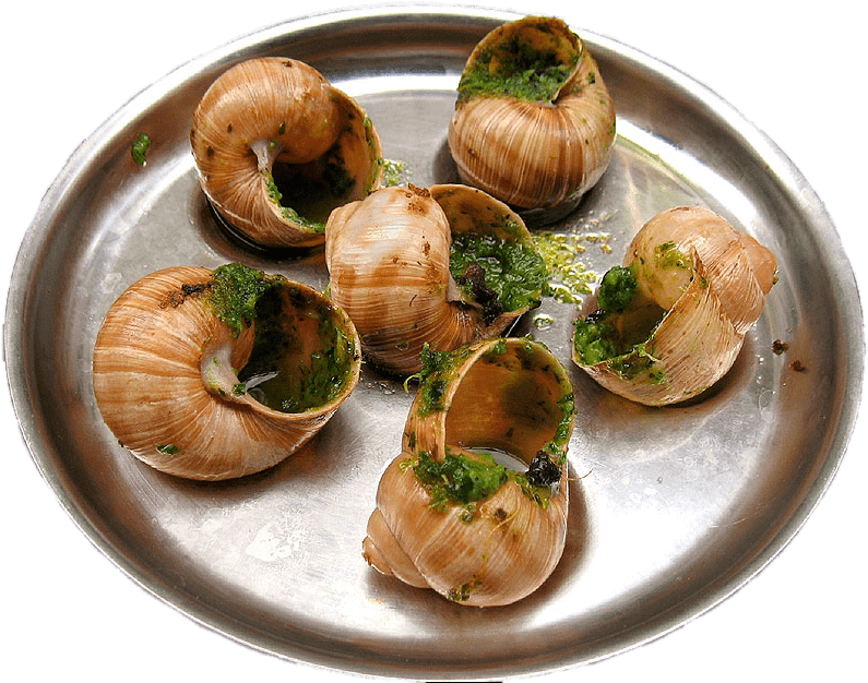 Download Escargots In Garlic Butter Png - Escargot Snails - Full Size ...