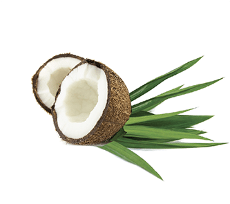 Download Pandan Coconut Png - Coconut Oil Moisturizing Cream With ...