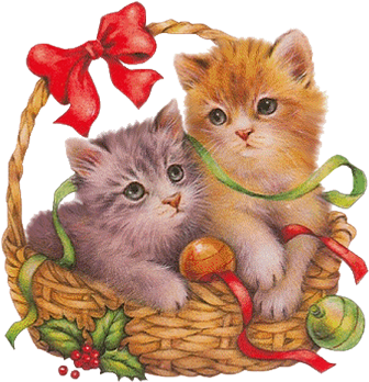 Download Ruth Morehead Kitten Free - Full Size PNG Image - PNGkit
