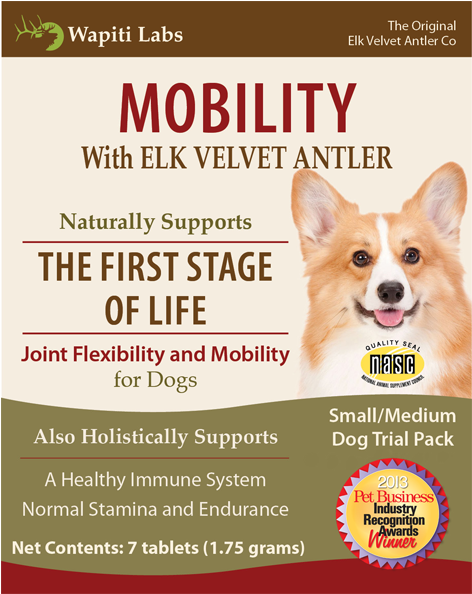Download Mobility Supplement For Dogs - Wapiti Labs Senior Mobility ...
