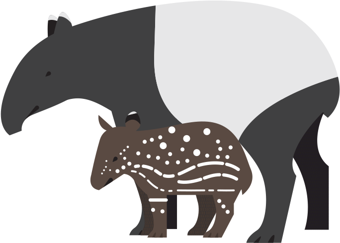 Download Tapir Clipart Denver Zoo Hippopotamus Clip Art - Tapir ...