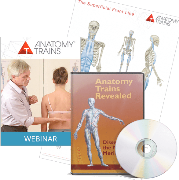 Download Anatomy Trains Revealed: Dissecting The Myofascial - Full Size ...