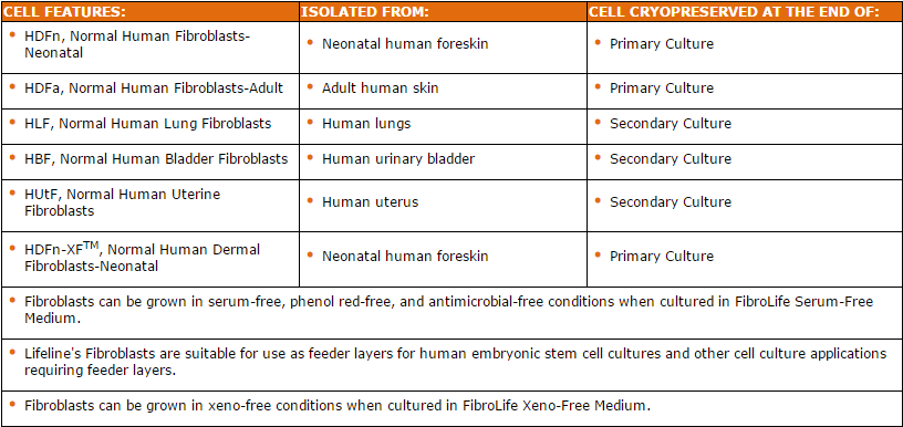 Download Human Fibroblast Cell Type Features - Kasturba Medical College ...