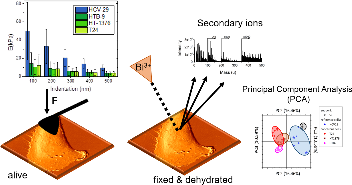 Download Correlation Between Mechanical And Surface Properties ...