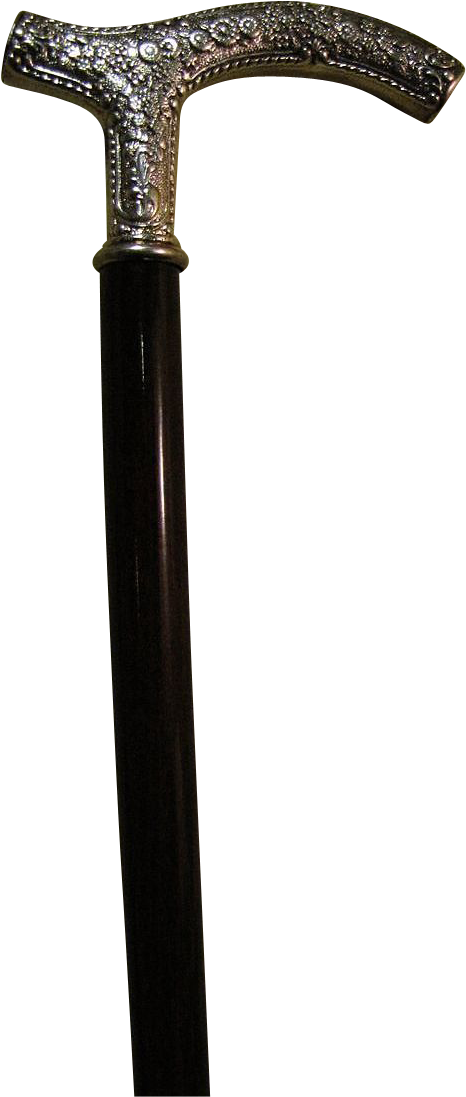 Download Walking Stick Png Photos - Walking Stick Transparent ...