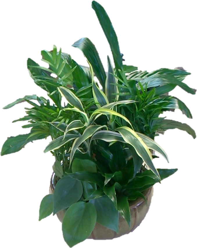 Download Transparent Desk Garden - Flowerpot - PNGkit