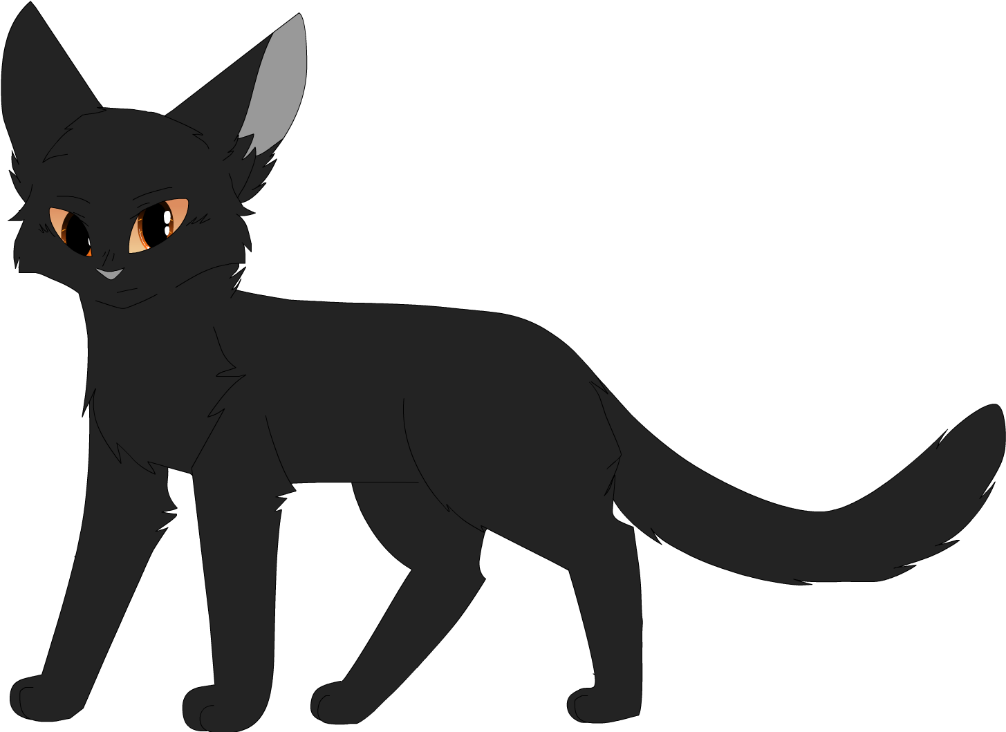 Download Flame - Devon Rex - Full Size PNG Image - PNGkit