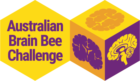 Download The Australian Brain Bee Challenge Is A Competition - The ...