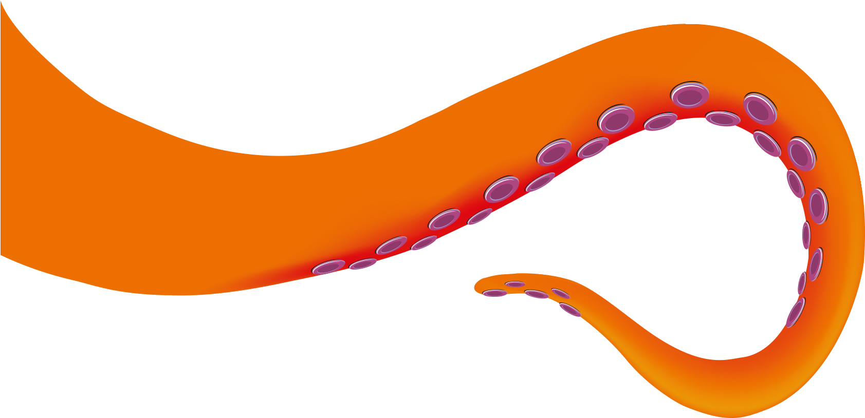 Download Transparent Octopus Tentacle - PNGkit