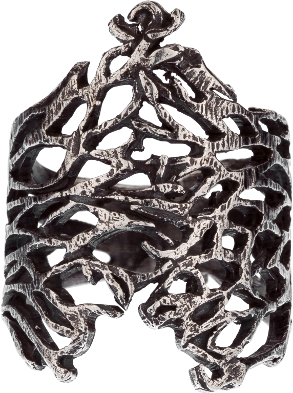 Download Thorn Bush Rings - Ring - Full Size PNG Image - PNGkit