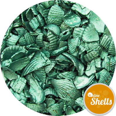Download Recycled Coloured Shell - Color - Full Size PNG Image - PNGkit