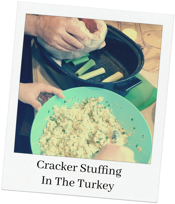 Download Retro Cracker Dressing Stuffing - Stuffing - Full Size PNG ...