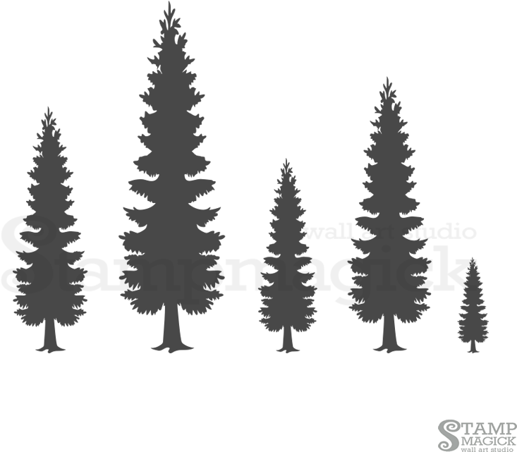 Download Pine Tree Decal - Full Size PNG Image - PNGkit