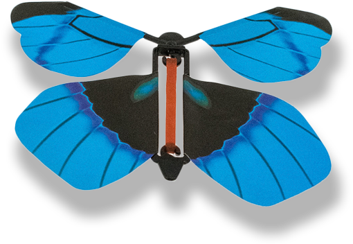 Download Que Nos Inundan De Belleza Y Fragancias Florales Los ...