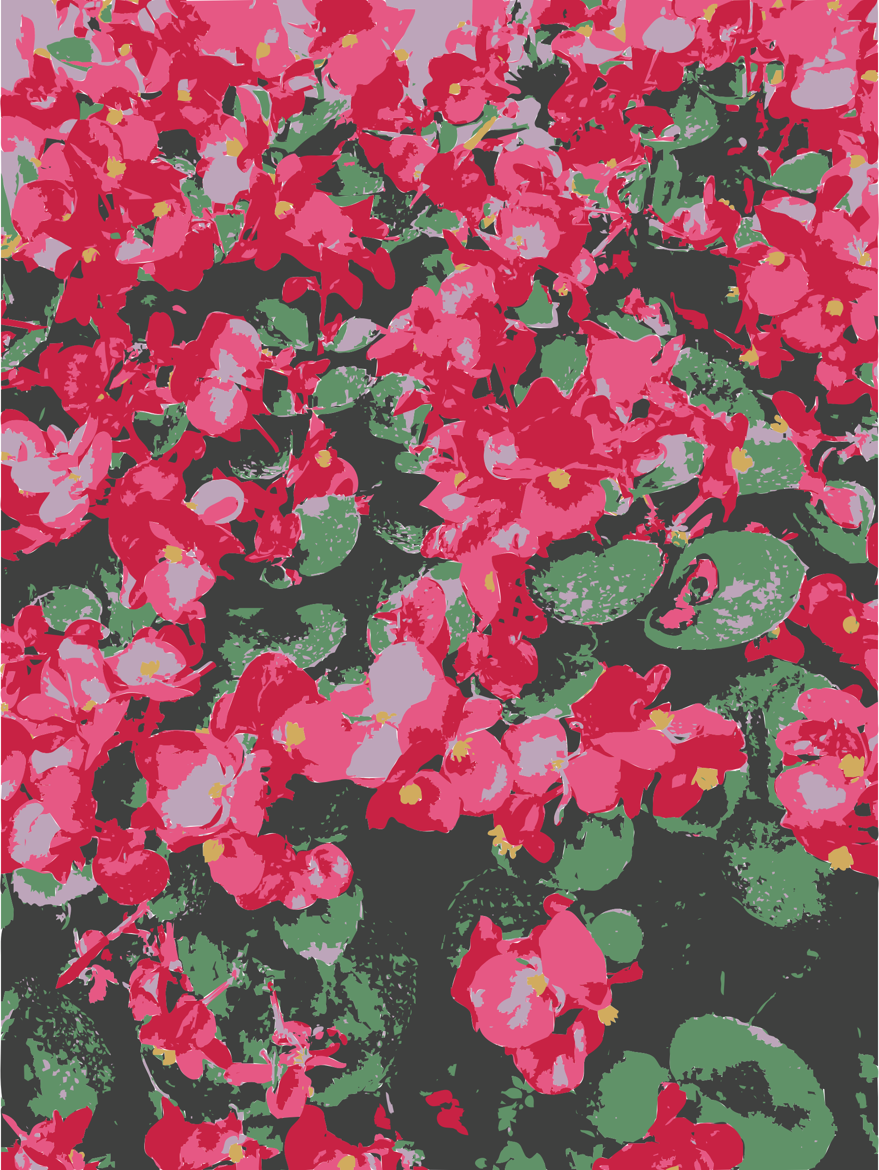 Download Big Image - Impatiens - Full Size PNG Image - PNGkit
