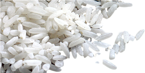 Download Rice And Pulses - Sagra Del Riso Sinaxis - Full Size PNG Image ...