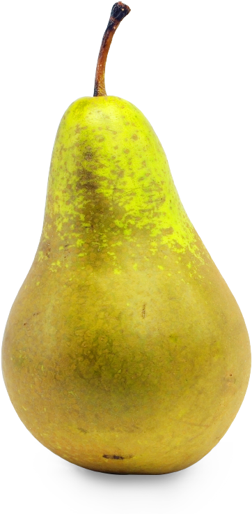 Download Asian Pear - Full Size PNG Image - PNGkit