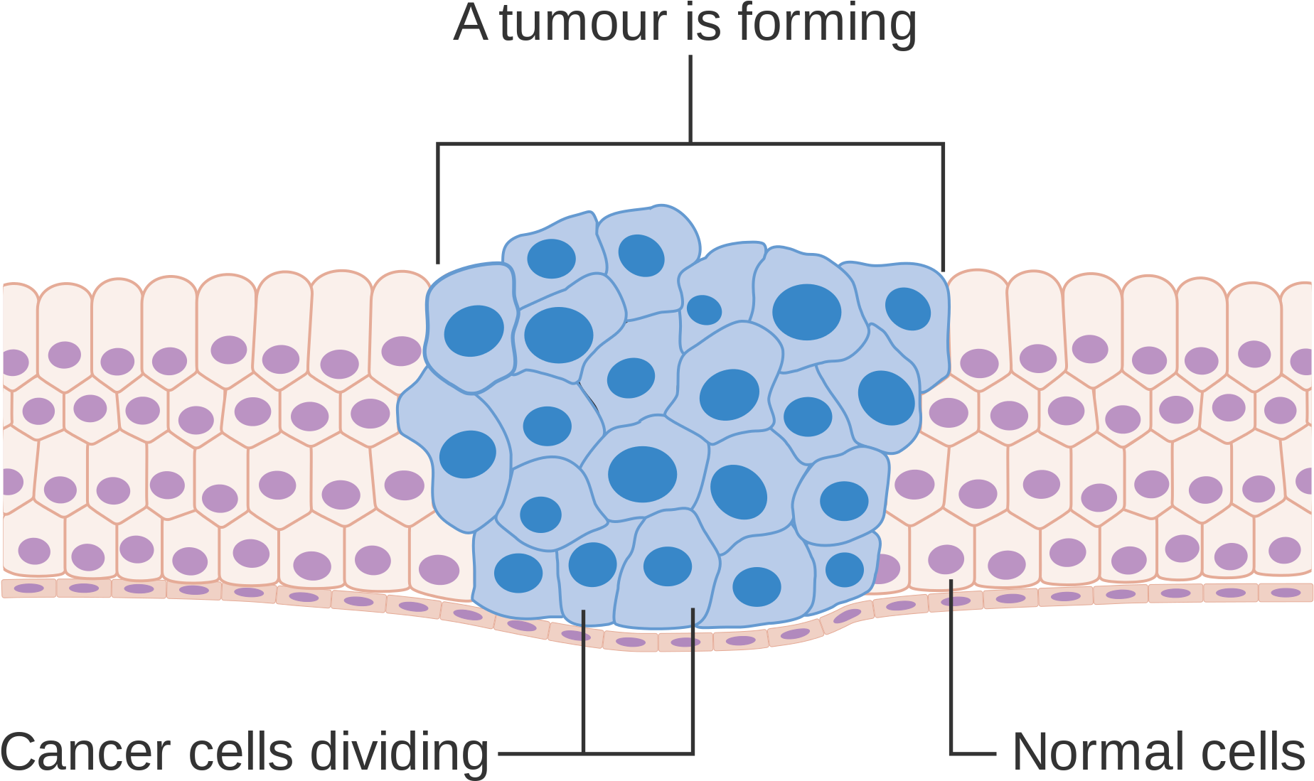 Download Transparent Open - Cancer Cells Diagram - PNGkit