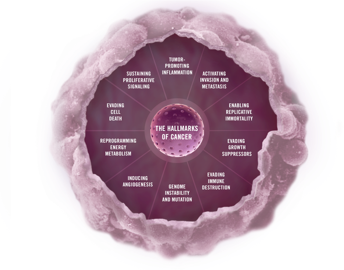 Download Click On Any Section Of The Image Below To Explore - Molecular ...