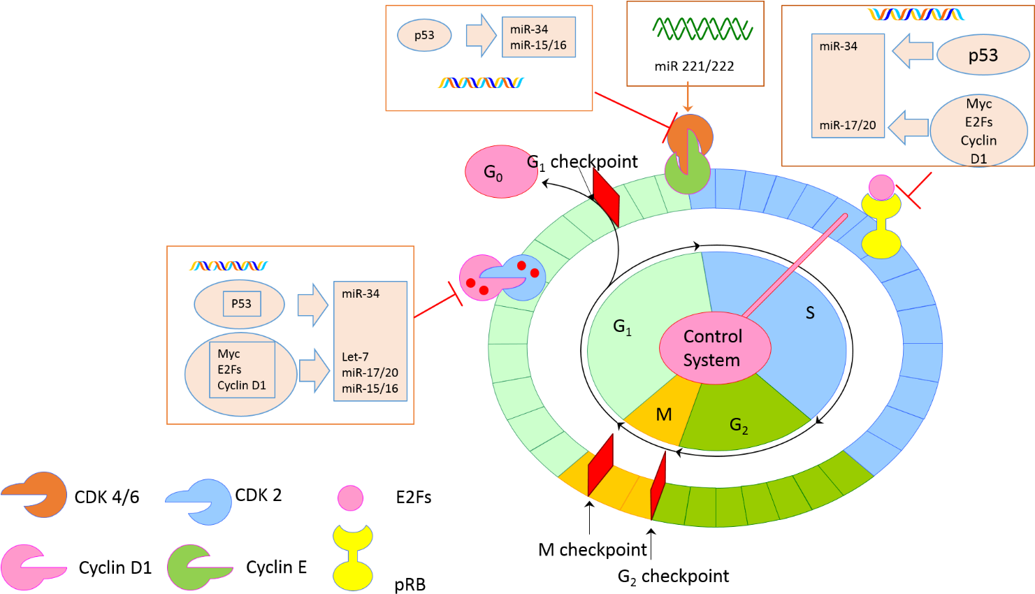 Download Figure 2 - - Cell Cycle Breast Cancer - Full Size PNG Image ...