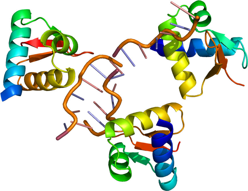 Download Dna Structure Clipart Clipart Transparent Background - Rna ...