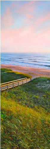 Download Arizona - Full Size PNG Image - PNGkit