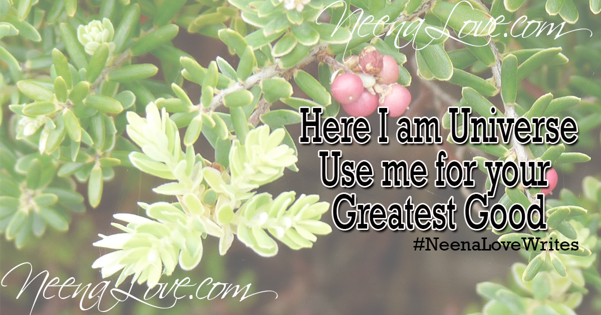 Download Everyday, I Wake Up And Feel So Happy - Lingonberry - Full ...