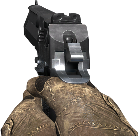 First Person View Gun