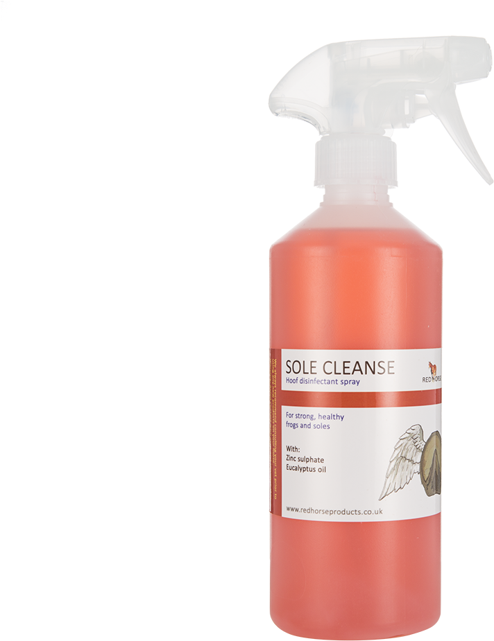 Download Sole Cleanse - Horse - Full Size PNG Image - PNGkit