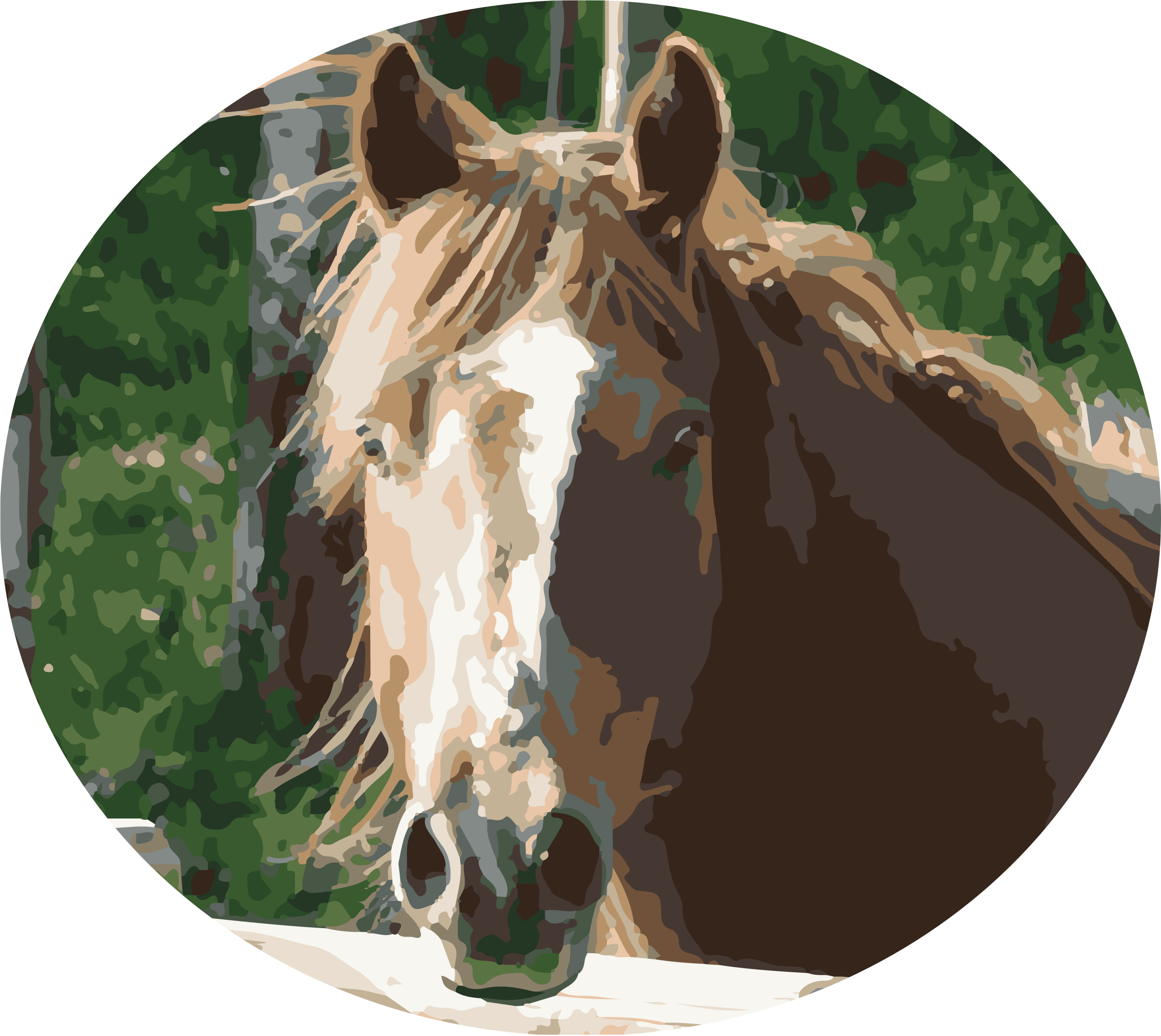 Download Copperstone Ranch Was Named After The Beloved Horse - Sorrel ...