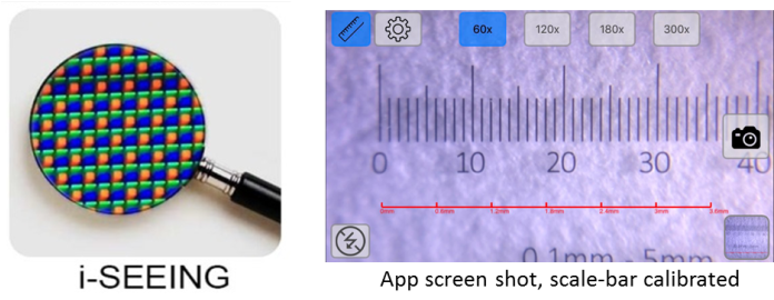 Download Scale Bar On The Micrograph Could Be Tangled On/off ...
