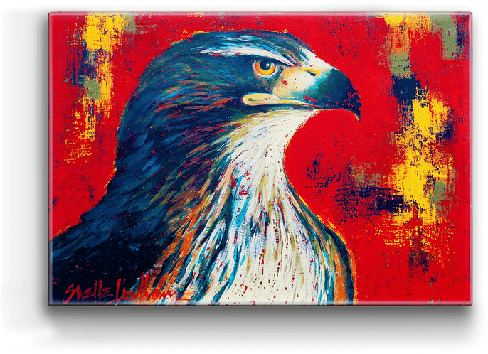 Download Red Tailed Hawk Box Art - Art - Full Size PNG Image - PNGkit