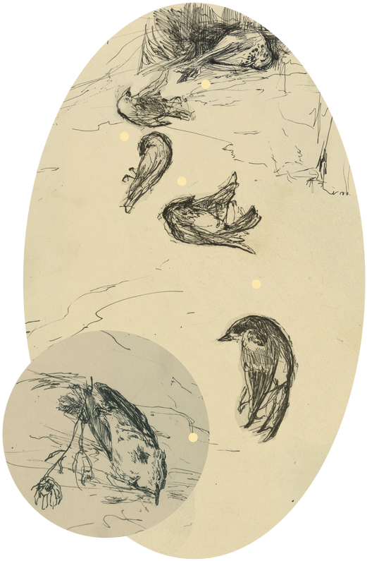 Download Sketch - Full Size PNG Image - PNGkit